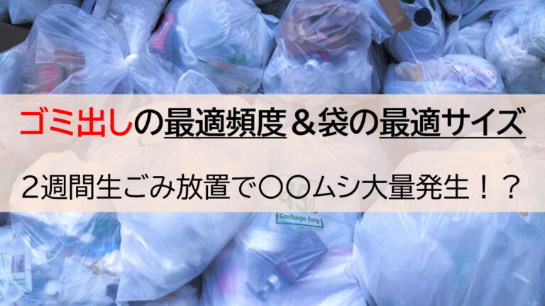 【一人暮らし】ゴミ出しの最適頻度&袋の最適サイズ|2週間生ごみ放置で〇〇ムシ大量発生!? ひとり気分